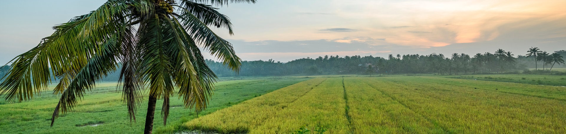 Explore Everything About Goa | South Goa Travel Blog