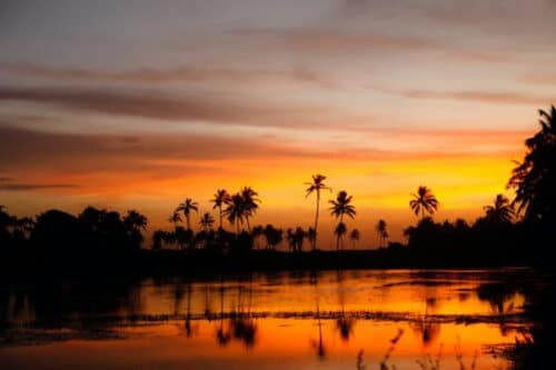 Beyond the Usual: Discovering Betalbatim's Hidden Gems with this ...